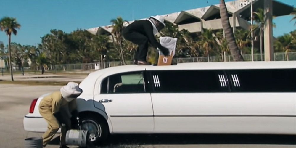 9 Jackass Stunts That Felt Totally Staged