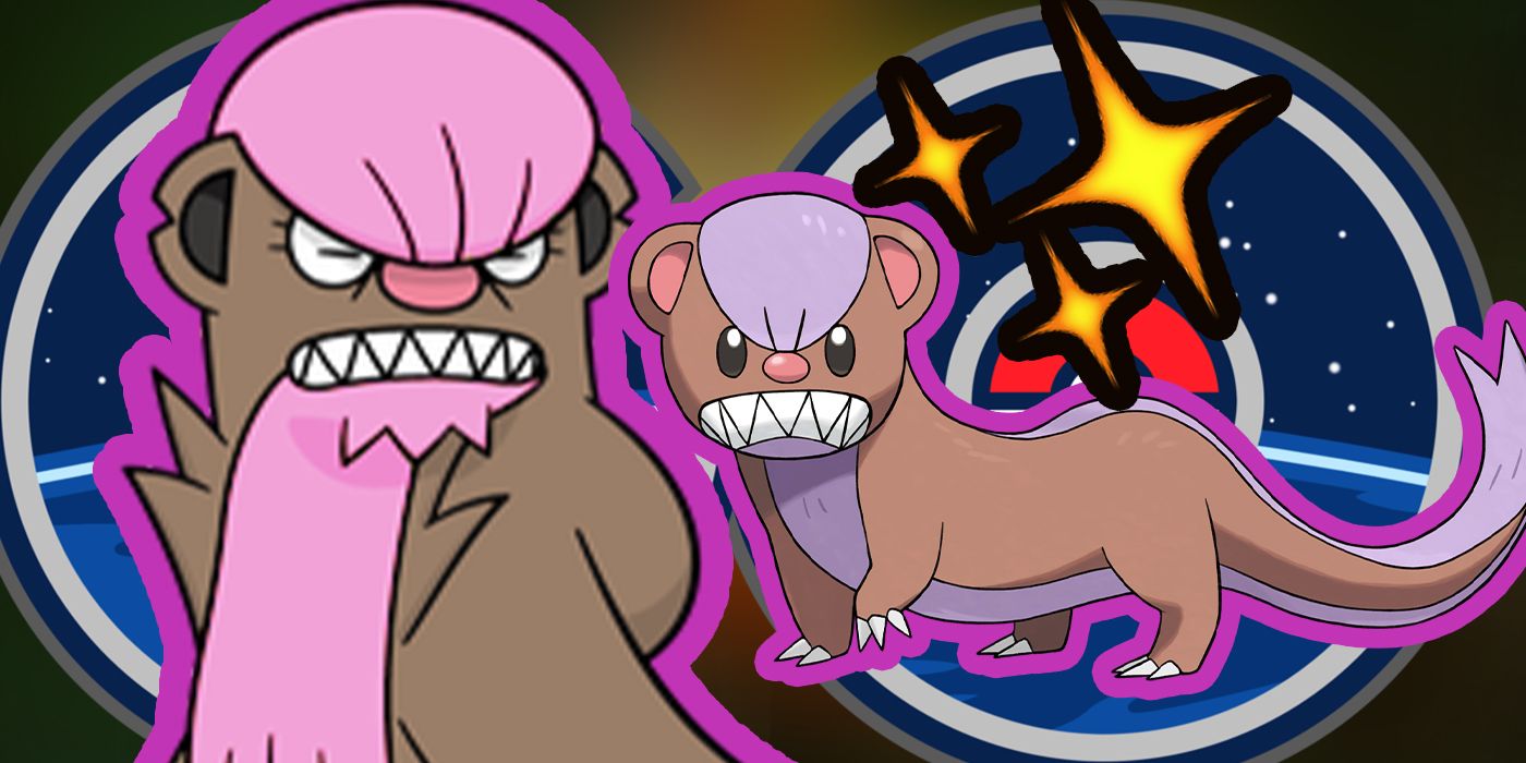 Pokémon Go: How To Find (& Catch) Shiny Yungoos & Gumshoos