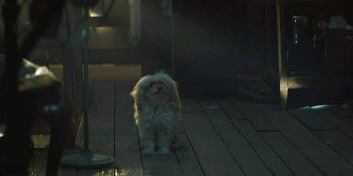 Shining Vale's Stephen King Reference Is A Bad Sign For Pat's Dog