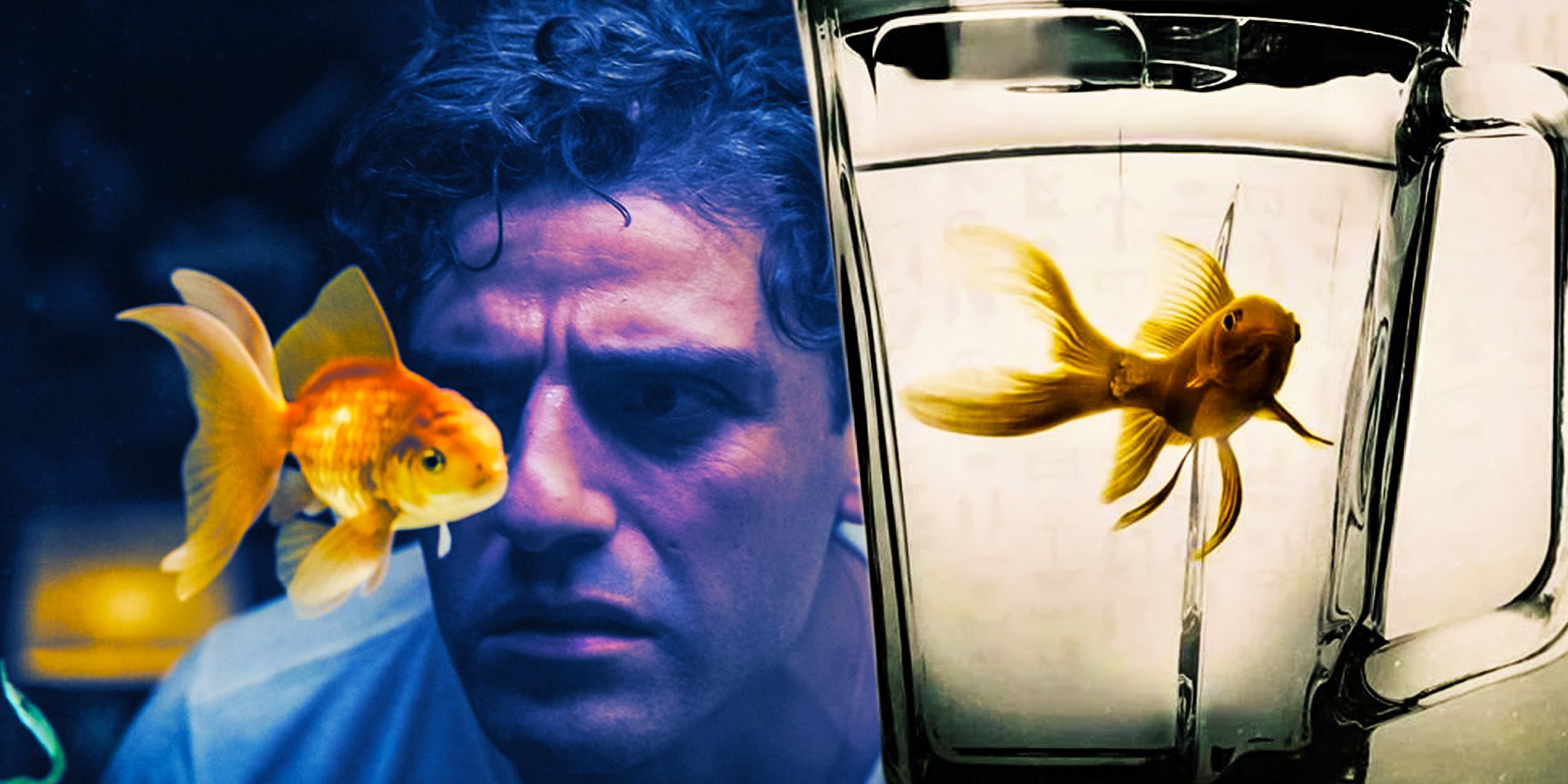 The Goldfish Is The Key To Steven's Moon Knight Mystery