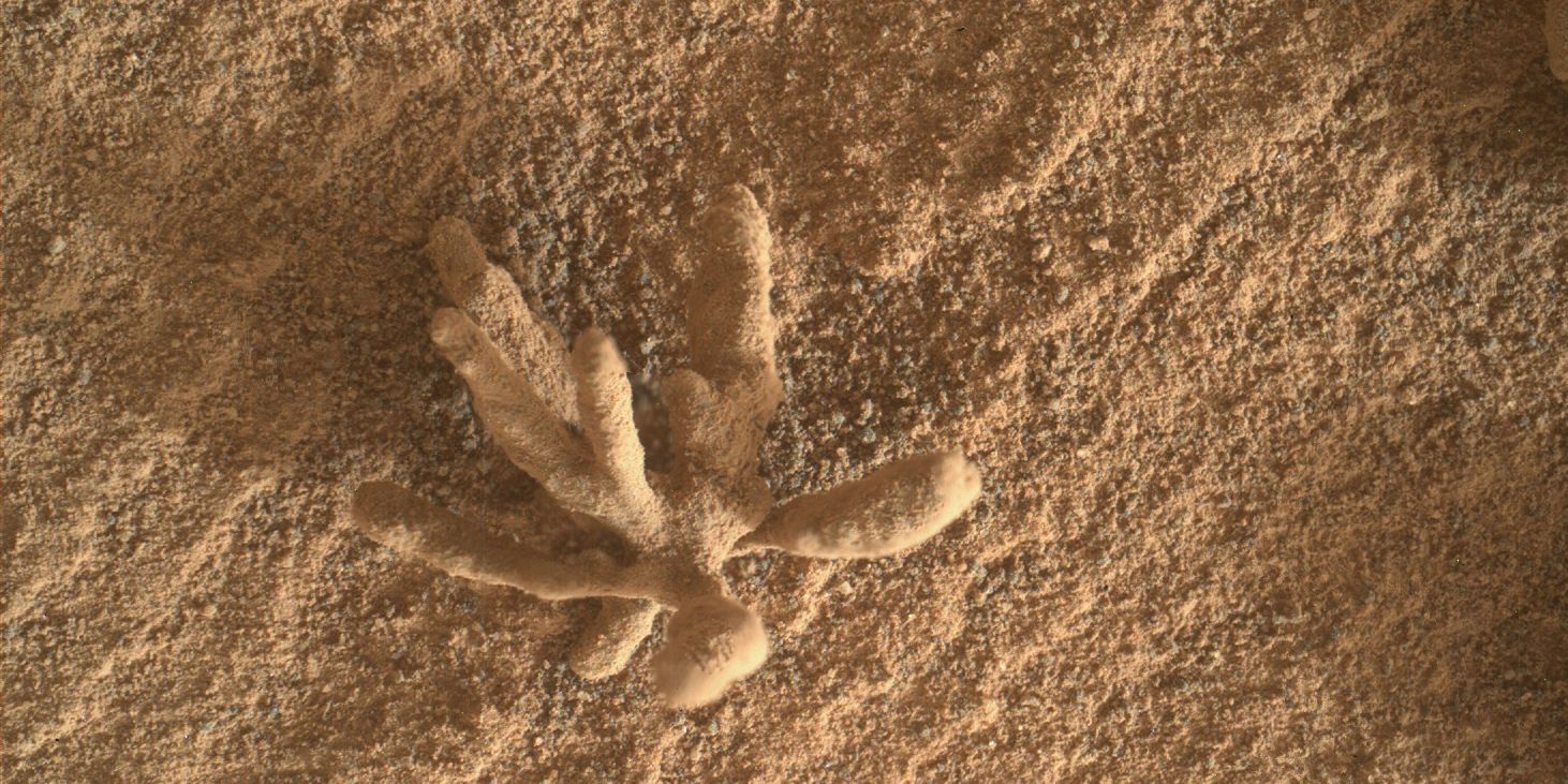 This NASA Photo Of A Mars 'Flower' Is Absolutely Beautiful