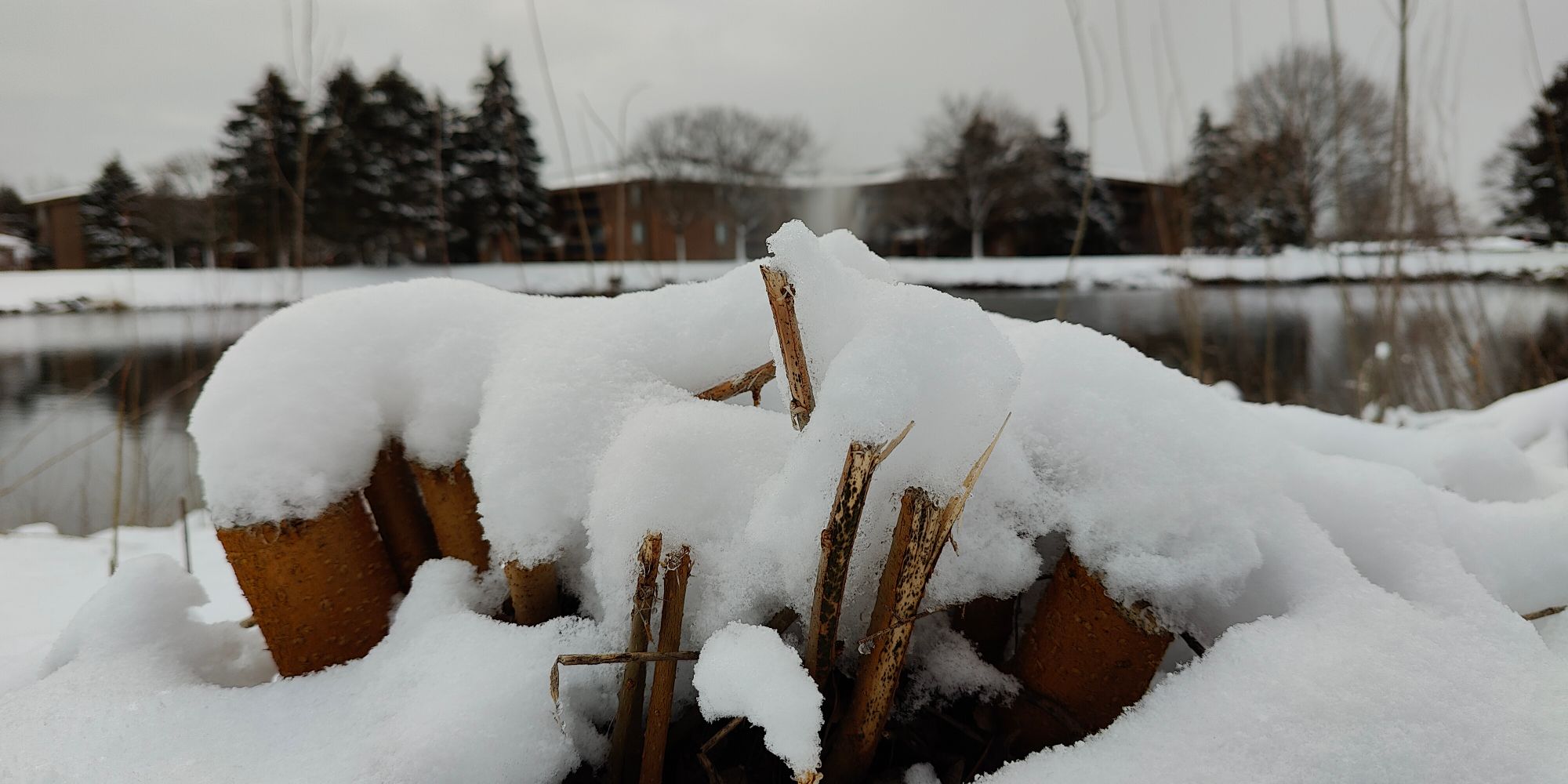 OnePlus 10 Pro Review: A Good (But Not Perfect) $899 Flagship