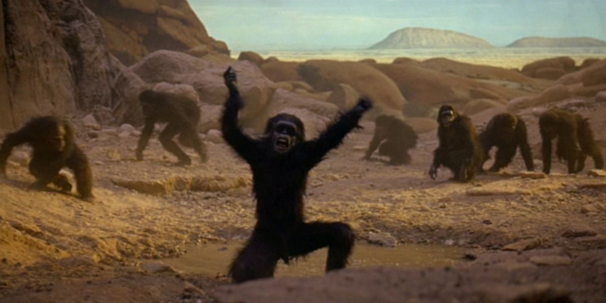 2001: A Space Odyssey - 10 Major Differences Between The Book & Movie