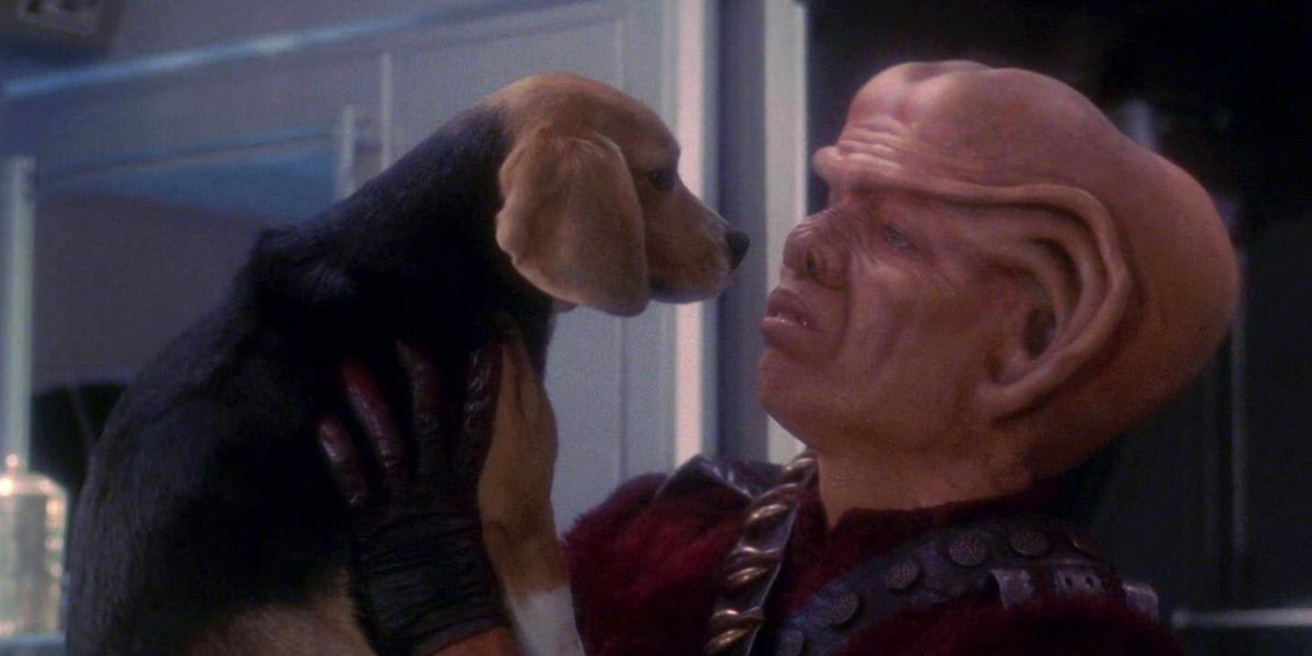 Star Trek: The 10 Best Ferengi Episodes, According to IMDb