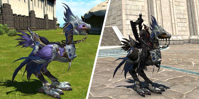Final Fantasy XIV: How To Raise Your Chocobo Companion