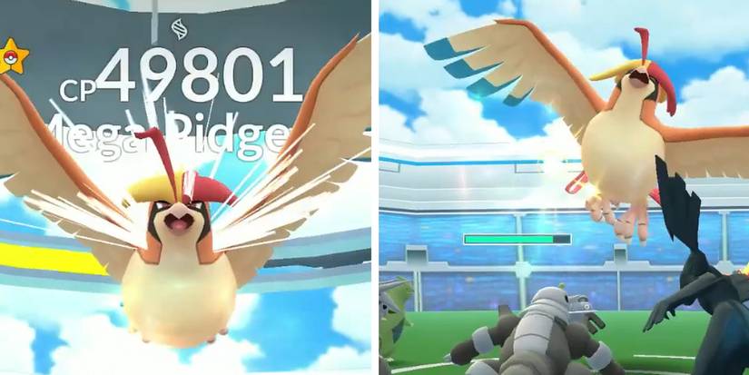 Pokémon GO: Mega Pidgeot Raid Battle Guide (Best Counters & Movesets)