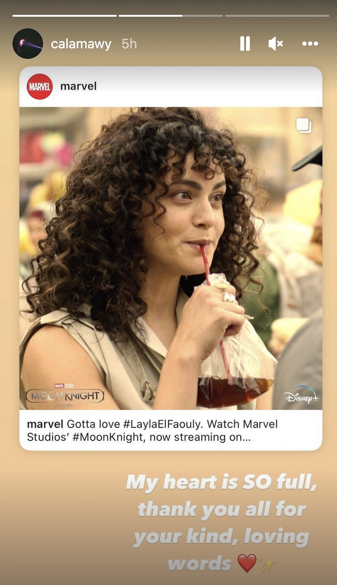 Moon Knight's May Calamawy Reacts to Fan Support For MCU Show