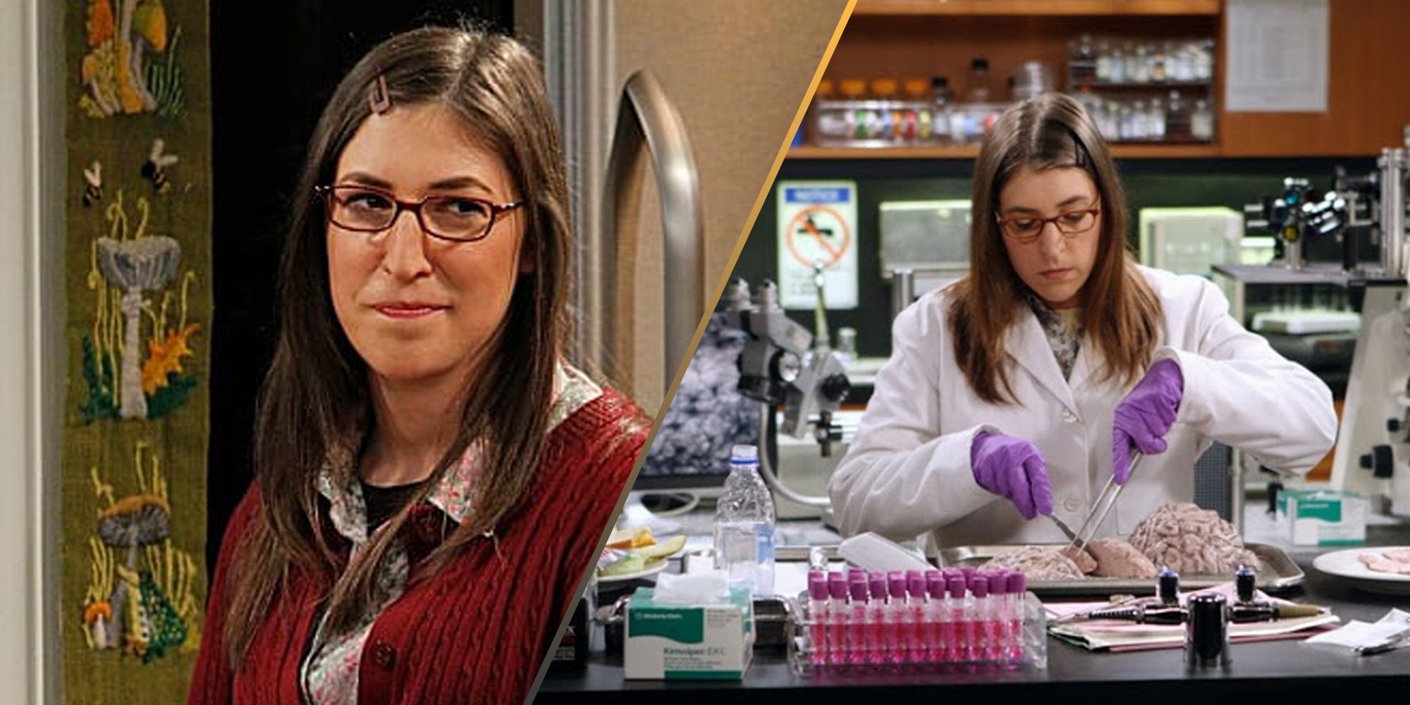 10 Big Bang Theory Quotes That Prove Amy Was The Smartest