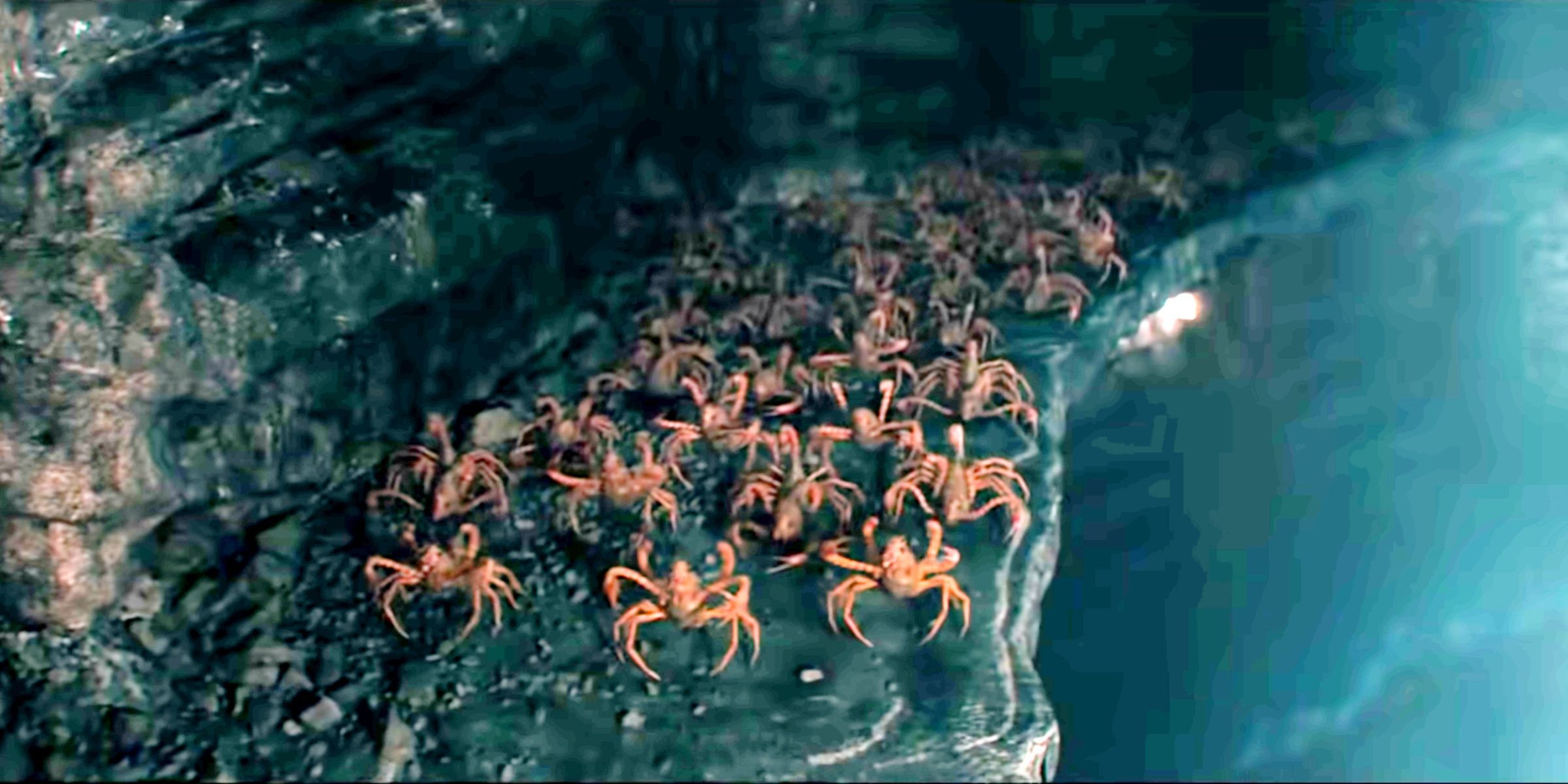 Secrets Of Dumbledore Finally Fixes Fantastic Beasts’ Title Problem