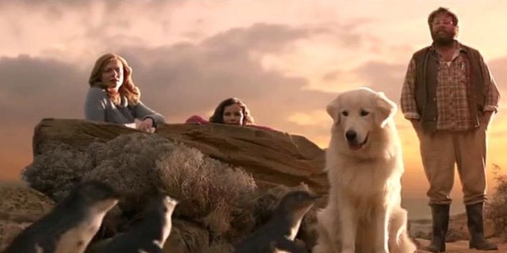 Rescued By Ruby, And 9 Other Dog Films Based On A True Story