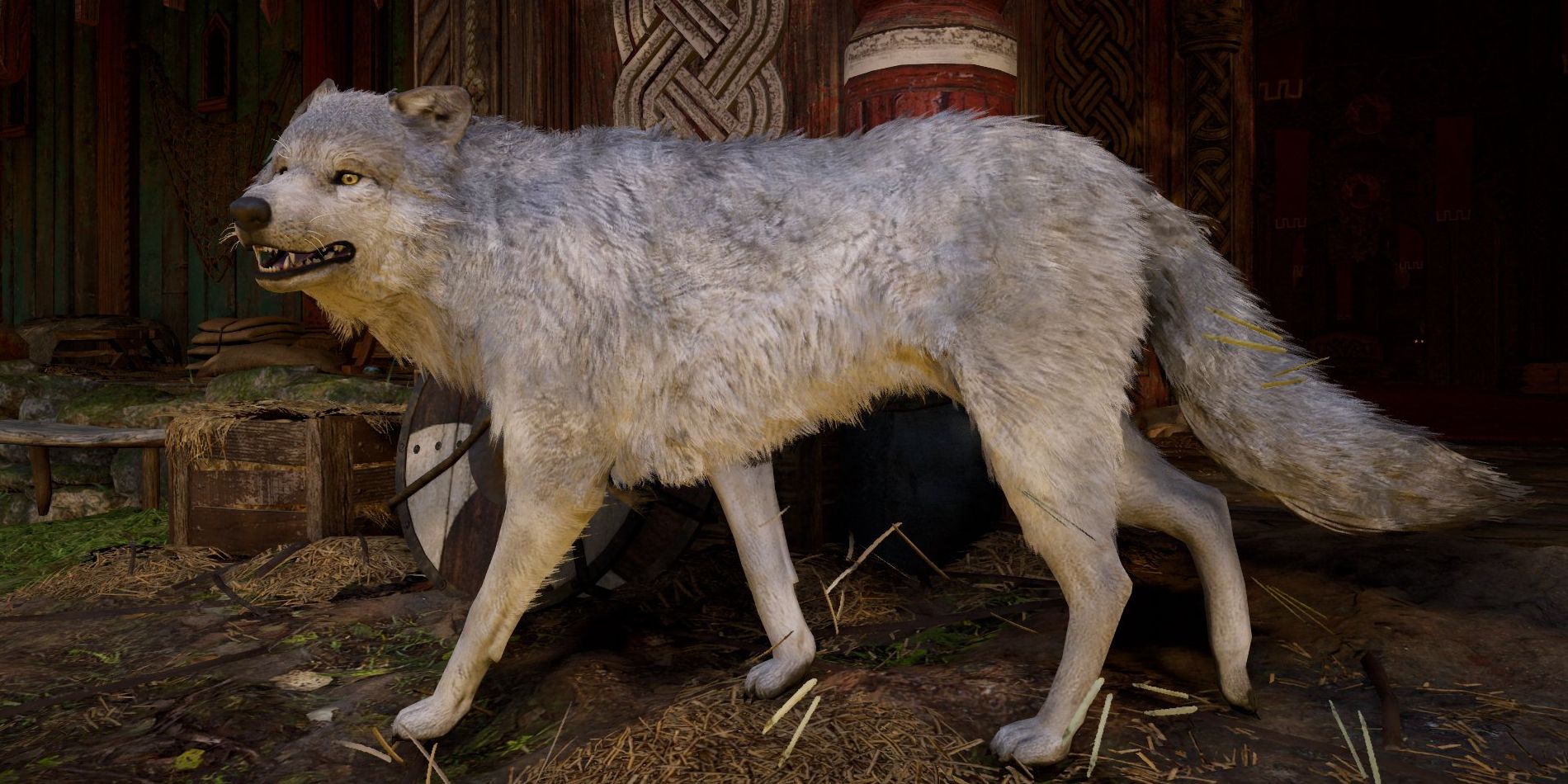 Assassin's Creed Valhalla's Best Animal Companions, Ranked