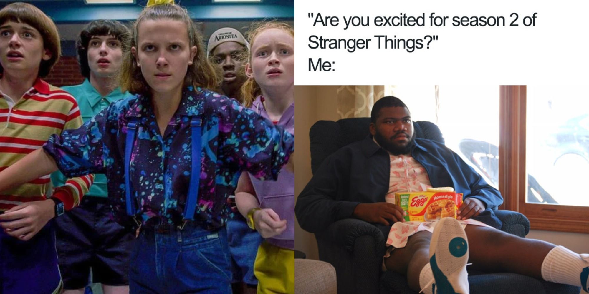 Stranger Things: 10 Memes That Perfectly Sum Up The Show