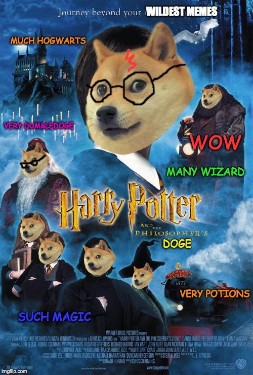 Harry Potter: 15 Memes That Sum Up The Sorcerer's Stone