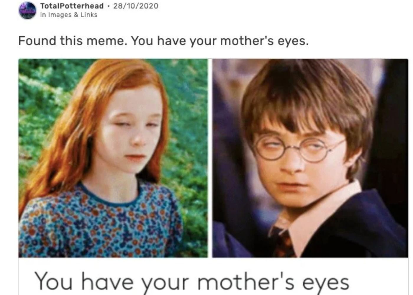 Harry Potter: 15 Memes That Sum Up The Sorcerer's Stone