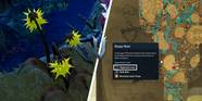 How To Get Highland Lotus In V Rising How To Get Highland Lotus In V Rising