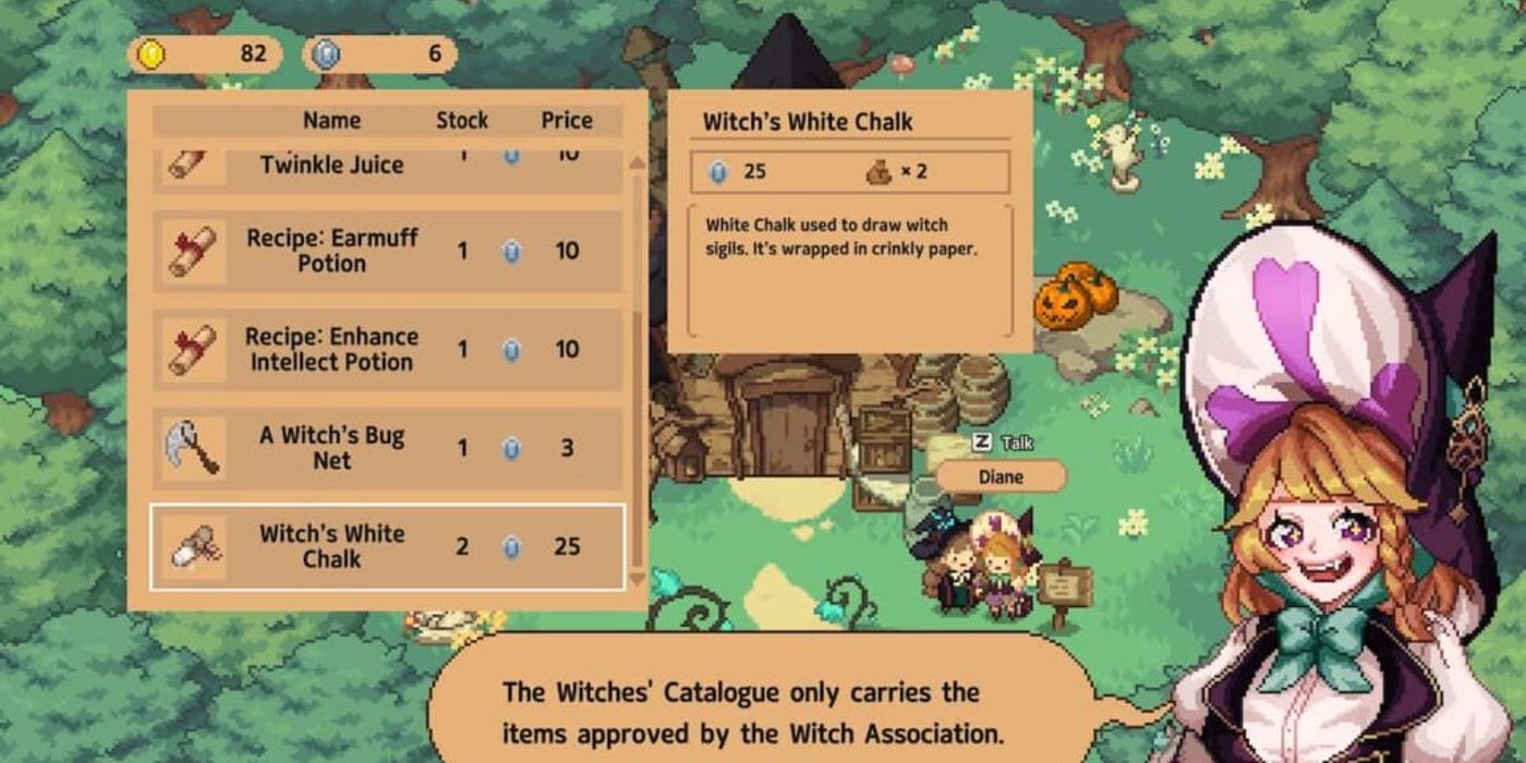 Little Witch in the Woods: How to Get a Witch's Bug Net