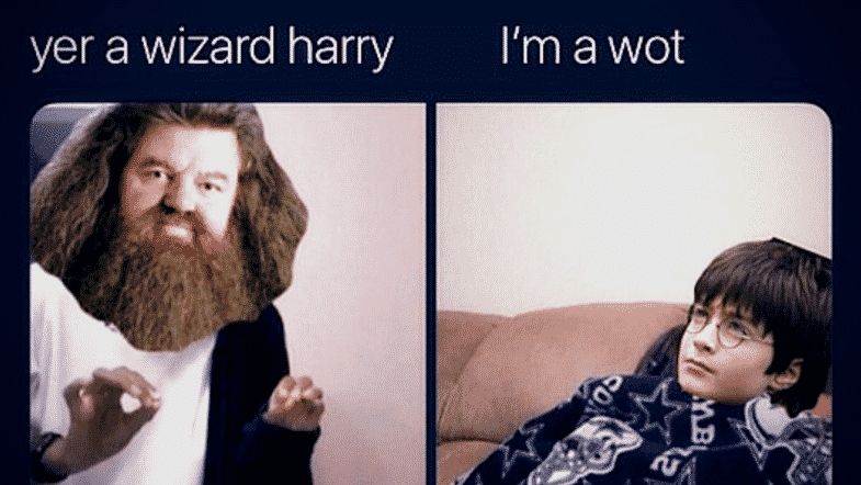 Harry Potter 15 Memes That Sum Up The Sorcerers Stone