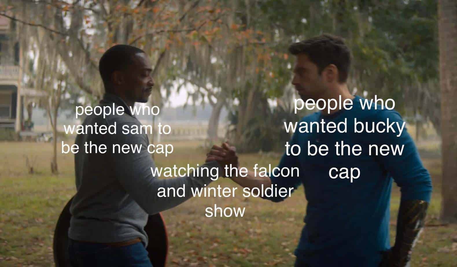The Falcon & The Winter Soldier: 10 Memes That Perfectly Sum Up The Show