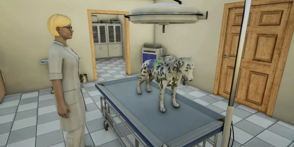 The 10 Best Medical Games On The Nintendo Switch, Ranked