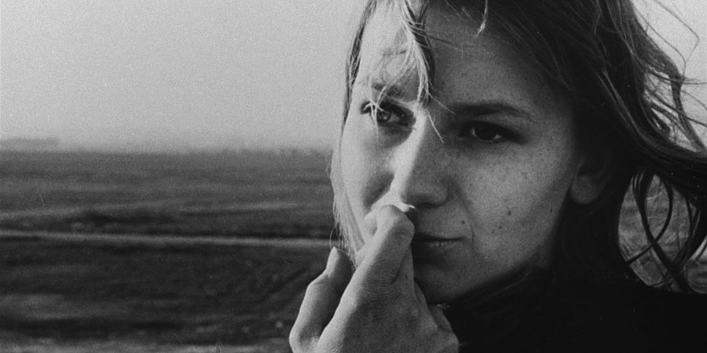 10 Best Short Films Ever Made, According To Letterboxd