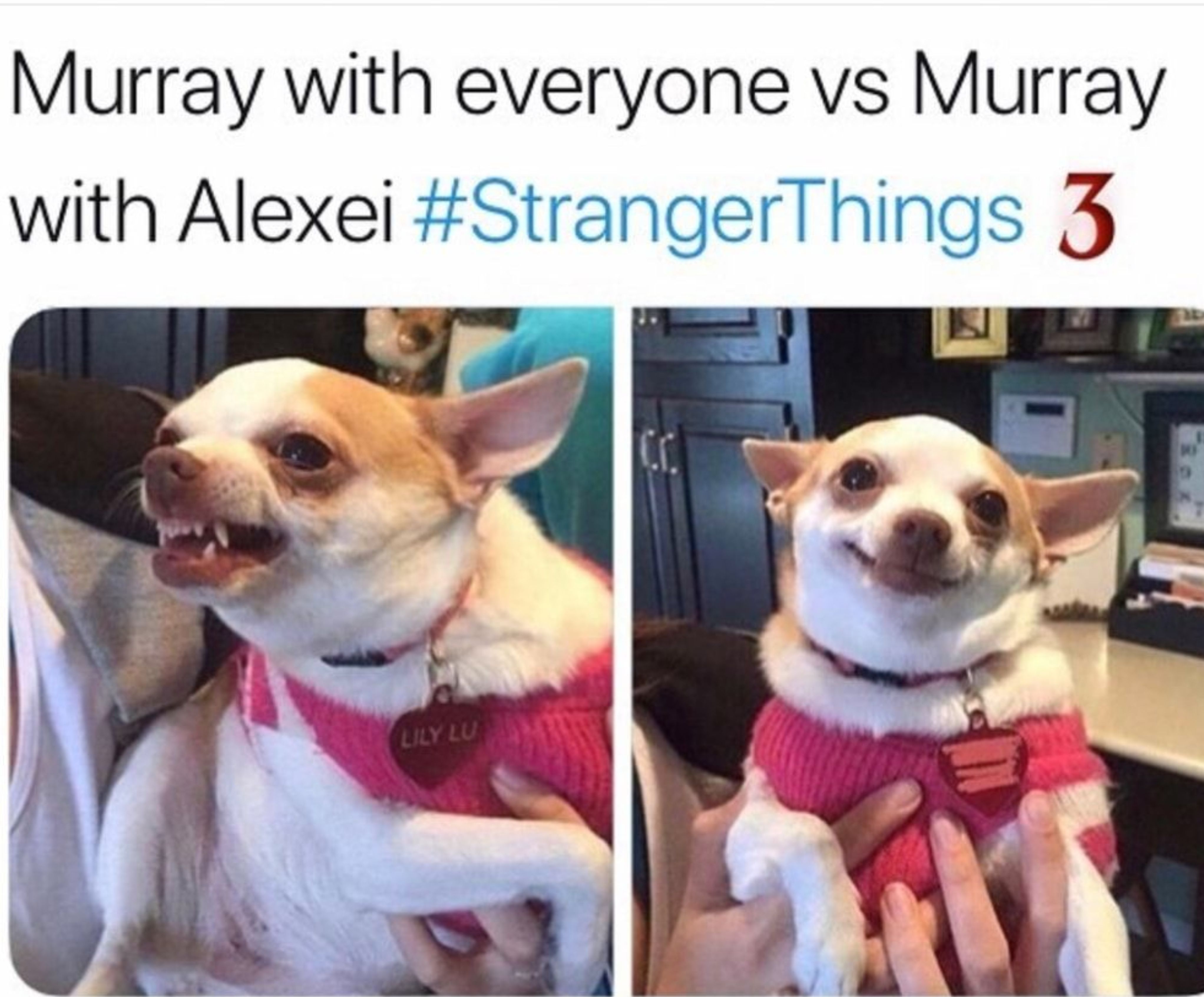 Stranger Things: 8 Memes That Perfectly Sum Up Murray As A Character