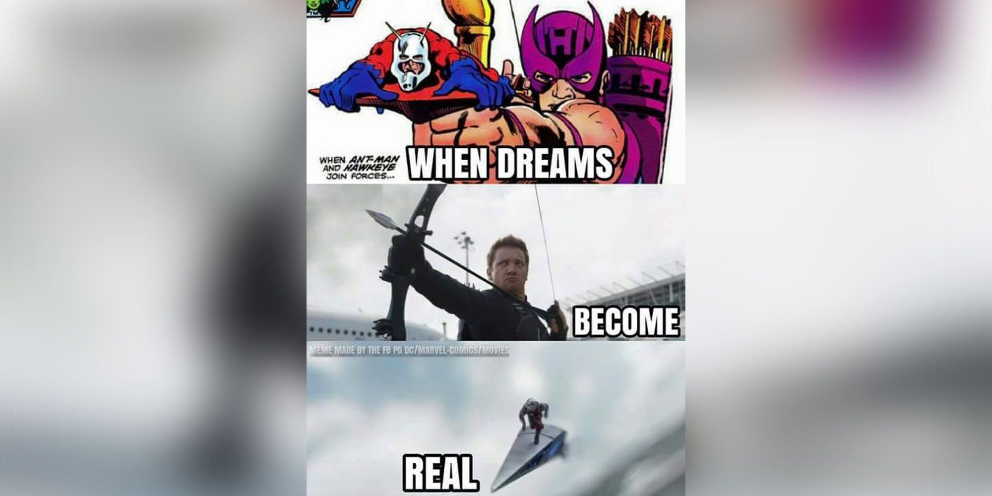 Antony Ant Man Memes