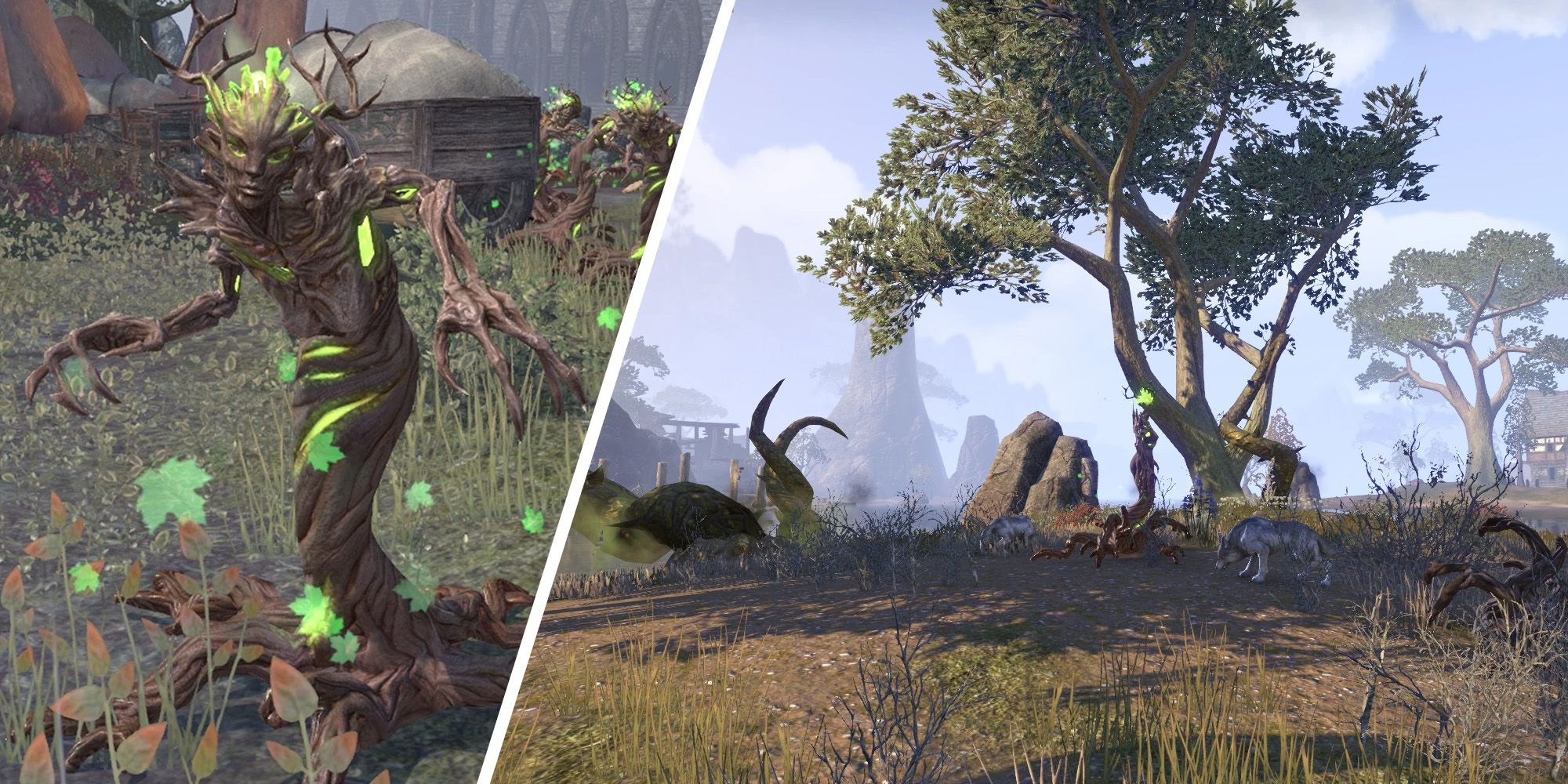 How to Get The Spriggan’s Thorns Set in Elder Scrolls Online