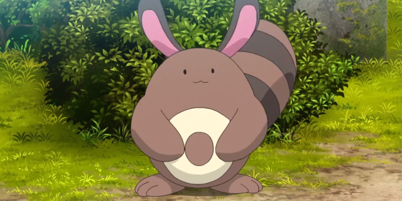 Pokémon: Every Regional Rodent, Ranked