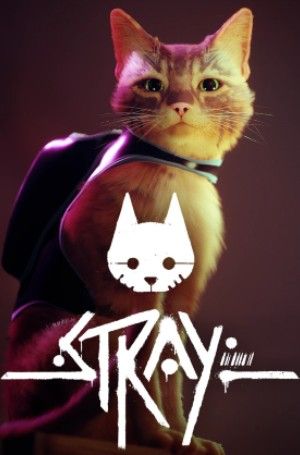 Stray | ScreenRant