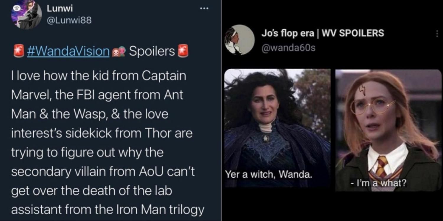 WandaVision: 10 Memes That Perfectly Sum Up The Show