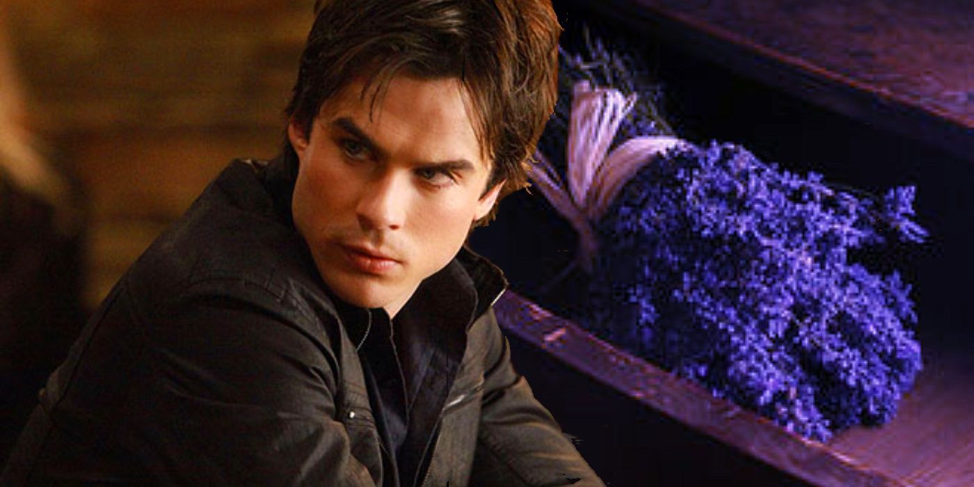 Vampire Diaries: Why Damon Always Dips His Finger In His Drinks