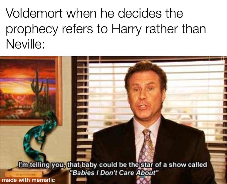 Memes De Phoenix Harry Potter: 10 Memes That Sum Up The Order Of The