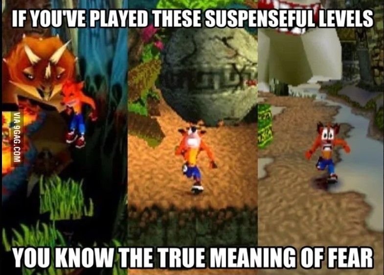 Funny Crash Bandicoot Memes Rilla Roo Crash Meme Rilla Roo Crash