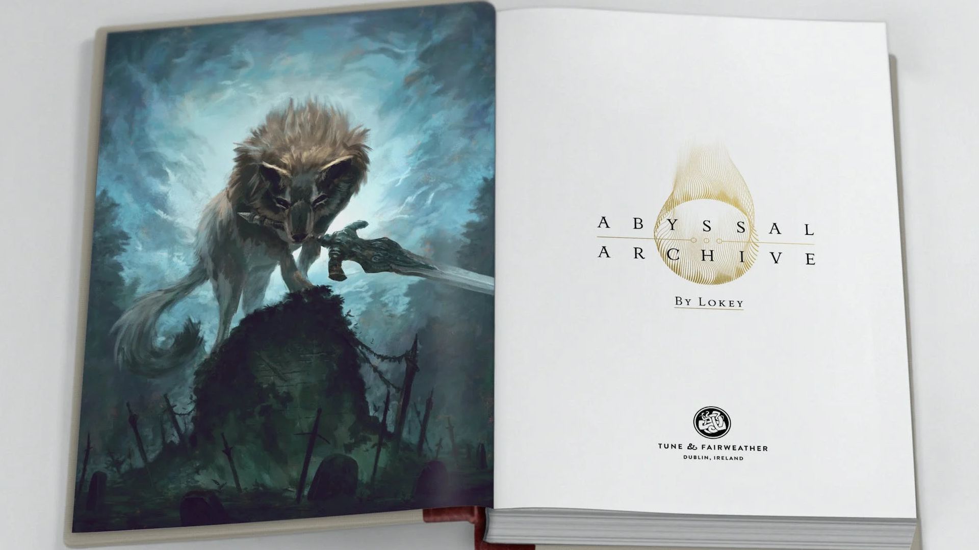Massive Dark Souls Fan Project Complies Lore In Two Books