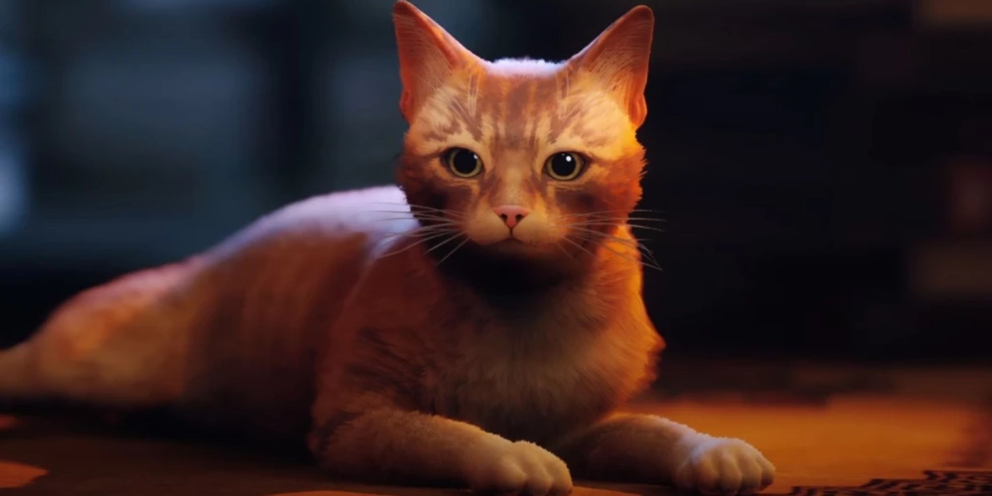 How Stray's Voice Actor Brought Life To Its Main Character