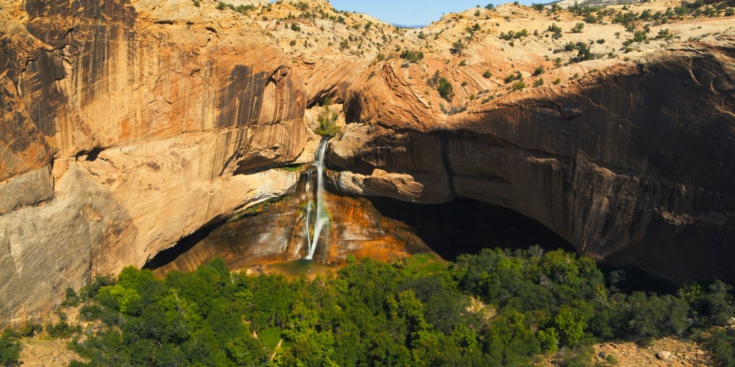 10 Best Nature Documentaries On Disney+, Ranked By IMDb Score