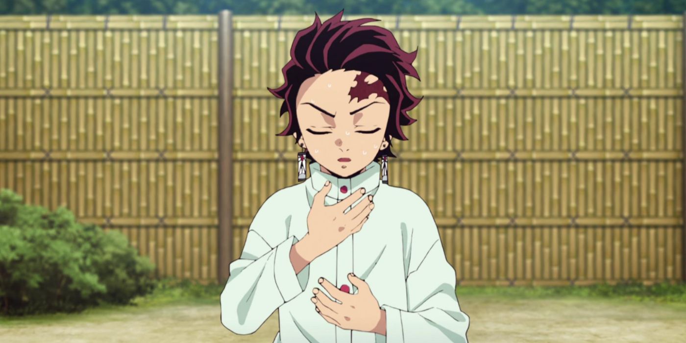 Demon Slayer: 8 Best Story Arcs, Ranked By IMDb