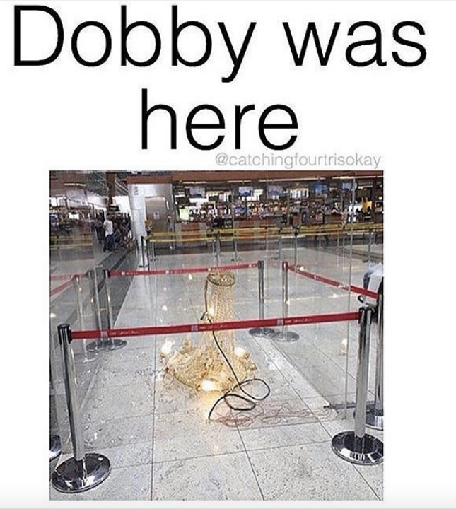 Harry Potter: 10 Memes That Perfectly Sum Up Dobby As A Character