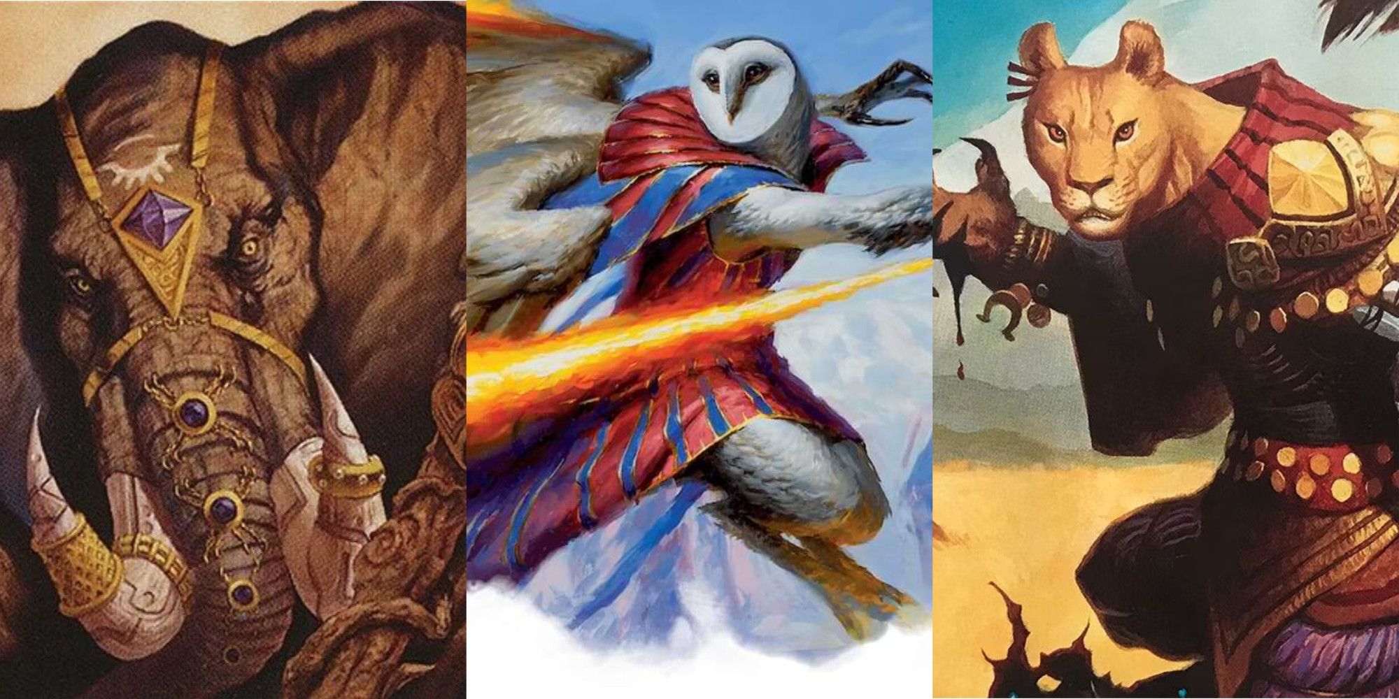 Every D&D 5e Playable Race That's Based On A Real Animal