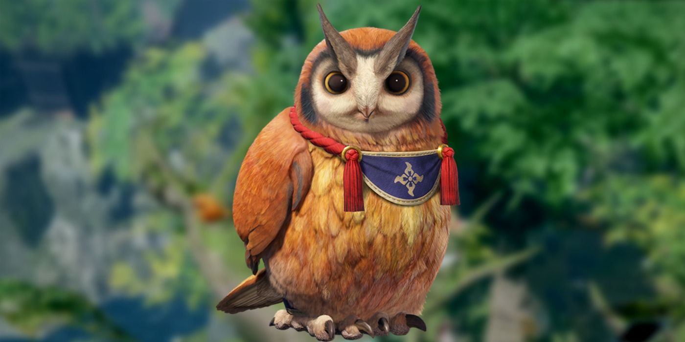 Where to Find the Cohoot Nest in Monster Hunter Rise