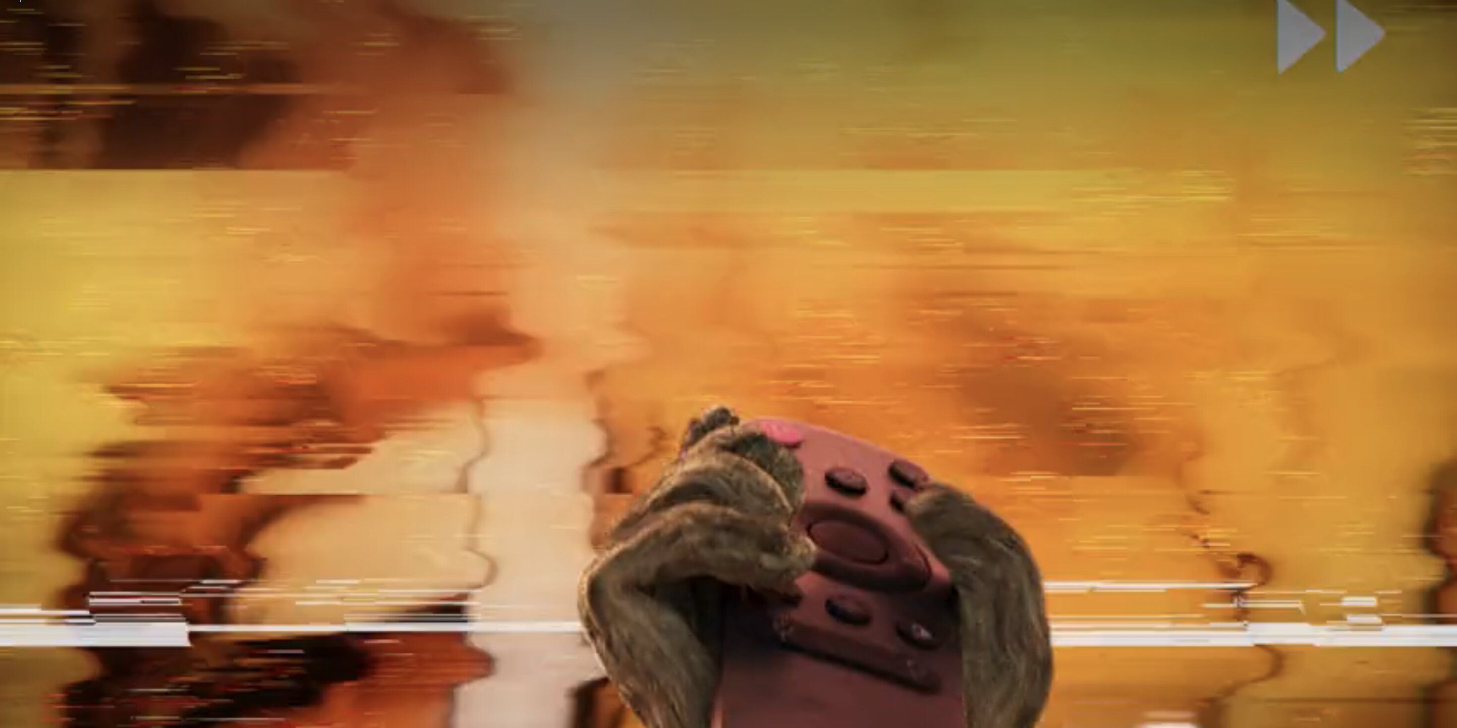 MCU: 10 Best Marvel References & Easter Eggs In I Am Groot