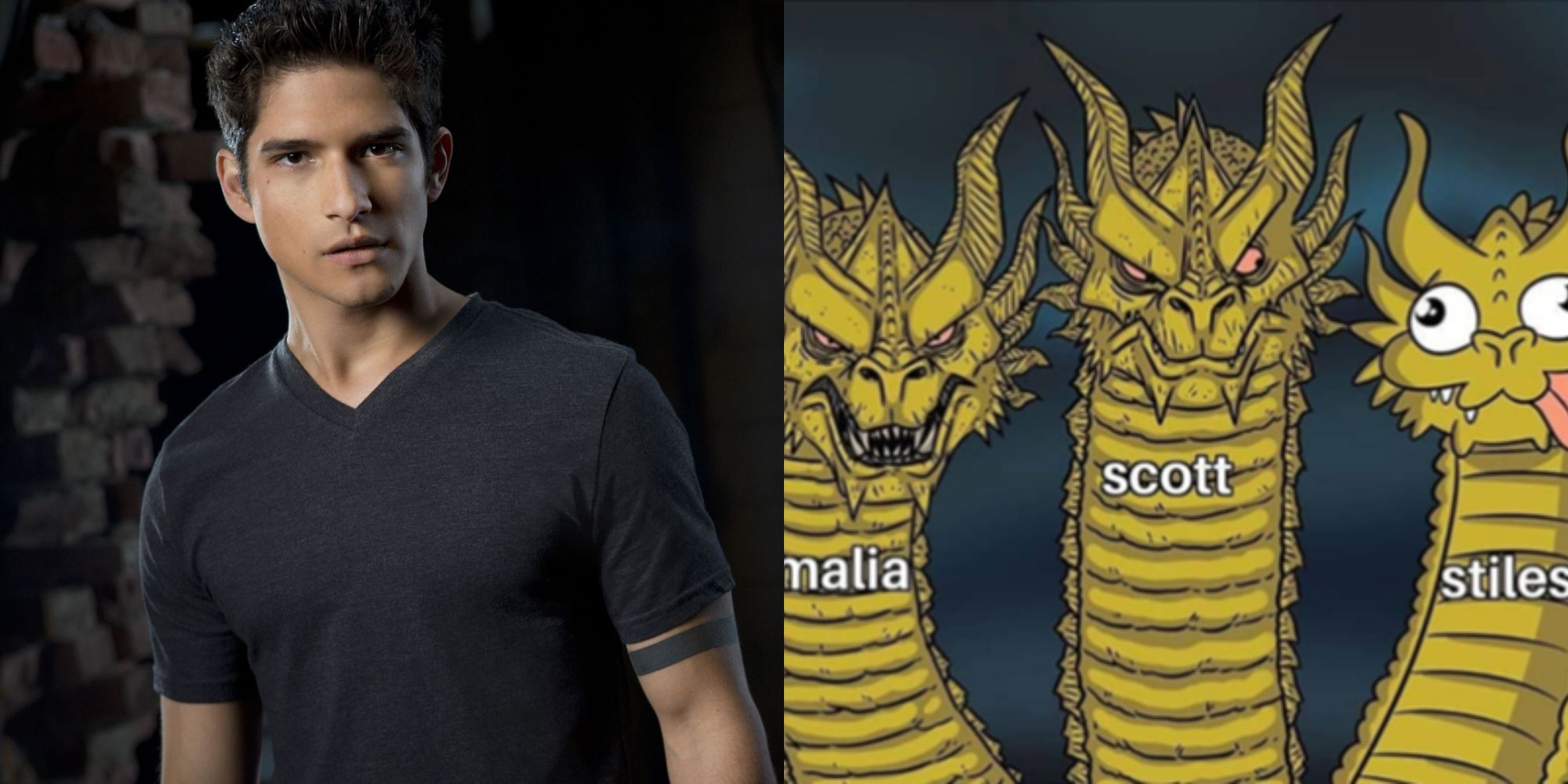 Scott Mccall Memes Pin Page