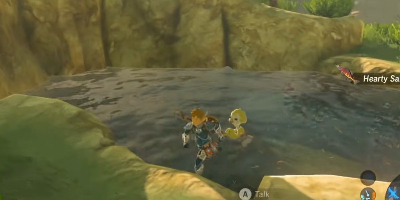 BOTW: How To Complete The Warbler's Nest