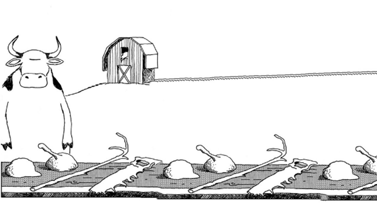 Manga 10 Funniest The Far Side Comics, According To Reddit 🍀 ...