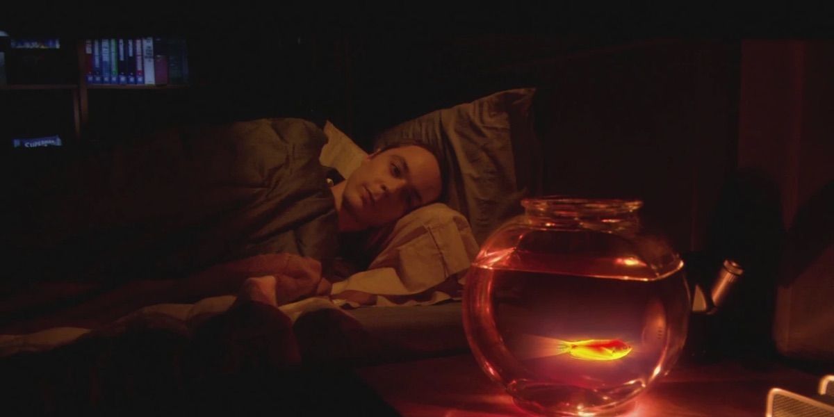 The Big Bang Theory: Top 9 IRL Science Experiments Conducted On The Show