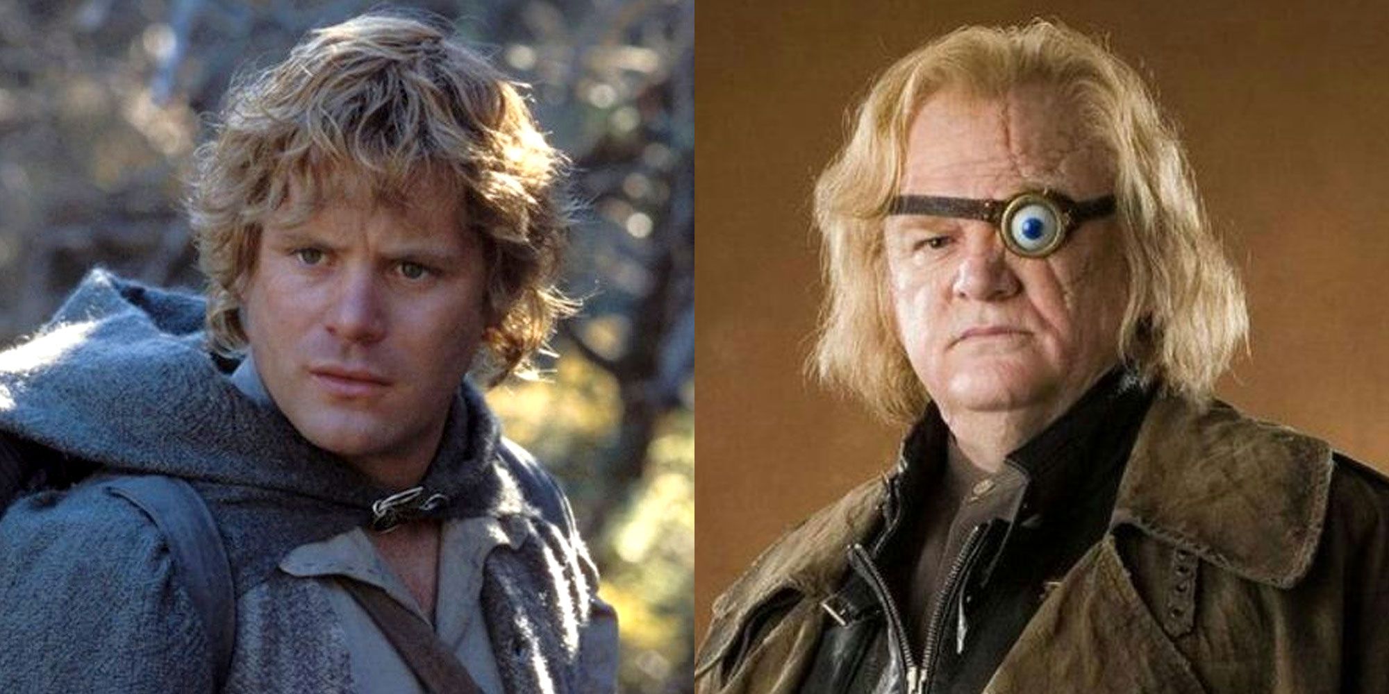 Recasting Lord Of The Rings Characters With Harry Potter Actors