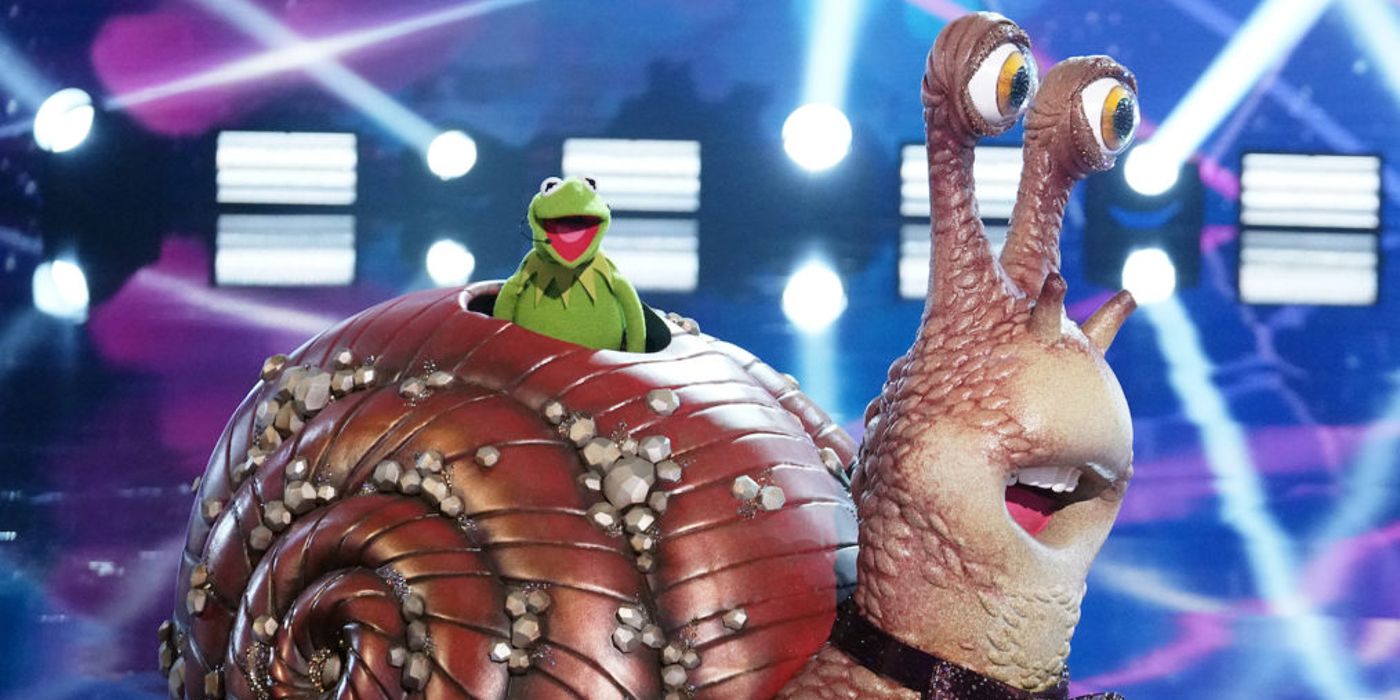 Most Famous Contestants Throughout All The Masked Singer Seasons