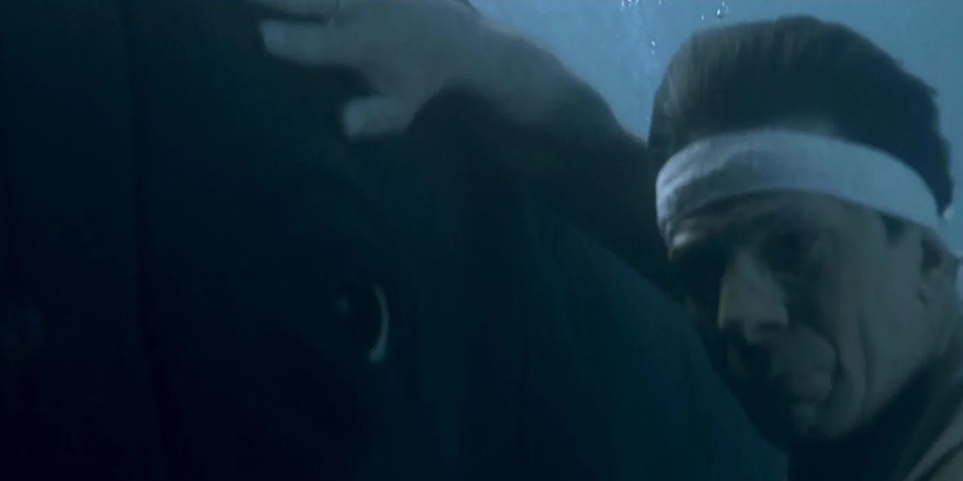 Pinocchio's Monstro & 9 Other Best Movie Whales, Ranked