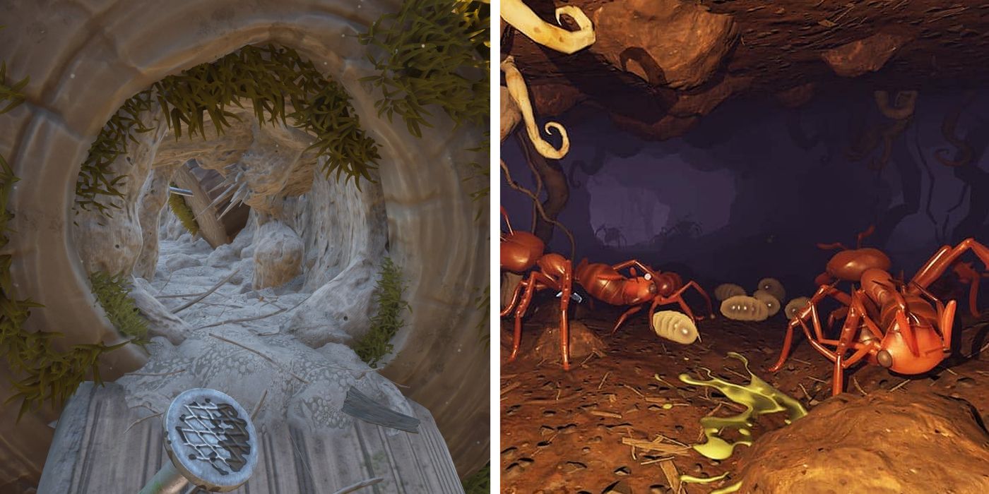 Where to Find Sturdy Quartzite in Grounded