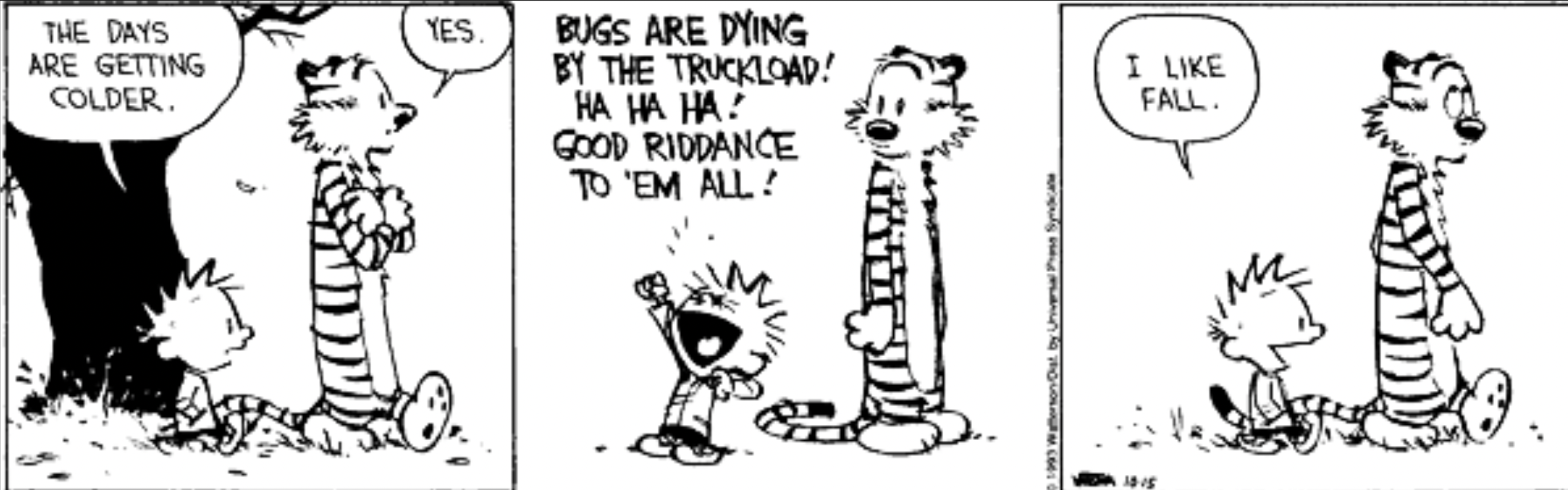 10 Funniest Calvin and Hobbes Comics, According To Reddit